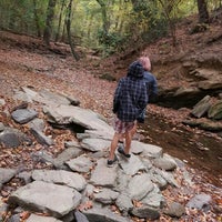 Big Trees Forest Preserve - Sandy Springs, GA