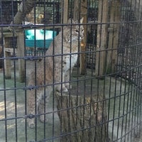 Willowbrook Wildlife Center - 4 tips from 288 visitors
