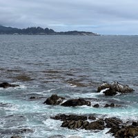 Pescadero Point - 4 tips from 1208 visitors