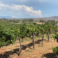 Palumbo Family Winery - Winery in Temecula