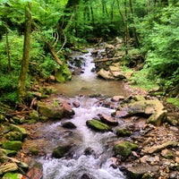 Roaring Run Furnace - Hiking Trail