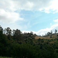 Cueva de El Pendo - Field