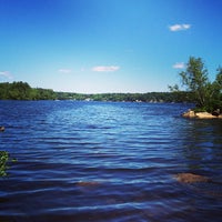 Douglas State Forest - Forest