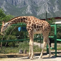 Xenpal - Parque Ecológico - Zoológico en García