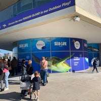 Sea Life Porto - 15 tips from 960 visitors