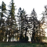 Spanaway Lake - Park