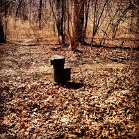 Red Gate Woods - 2 tips from 147 visitors