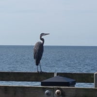Ken Combs Pier - 4 tips from 197 visitors