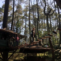 Grafika Cikole Camp Area - 31 tips from 3193 visitors