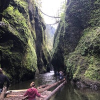 Oneonta Gorge (Now Closed) - Other Great Outdoors in Portland