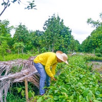 Farm Sanctuary - 21 tips