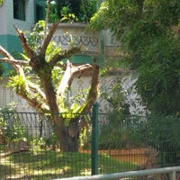 Brunei Polytechnic's Library