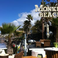 Monkey Beach Club - 30 tips from 1466 visitors