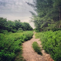 Virginia Key MTB Trails - Trail in Miami