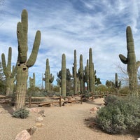 Gilbert Riparian Preserve at Water Ranch - Gilbert, AZ