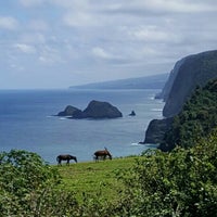 Hawi - 10 tips from 618 visitors