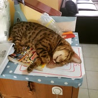 หมู่บ้านกานดา พาร์ค (กานดาริมคลอง 2)