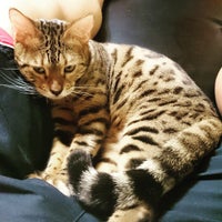 หมู่บ้านกานดา พาร์ค (กานดาริมคลอง 2)