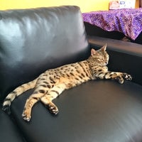 หมู่บ้านกานดา พาร์ค (กานดาริมคลอง 2)