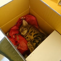 หมู่บ้านกานดา พาร์ค (กานดาริมคลอง 2)