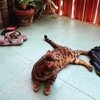 หมู่บ้านกานดา พาร์ค (กานดาริมคลอง 2)