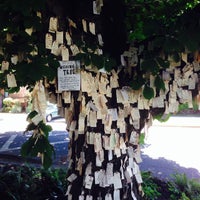 The Wishing Tree - Tree