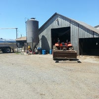 Matos Cheese Factory - Cheese Shop