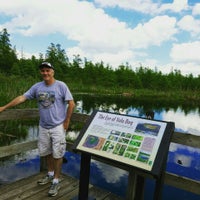 Volo Bog State Natural Area - Nature Preserve in Ingleside