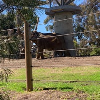 Elephant Odyssey - Balboa Park - San Diego, CA