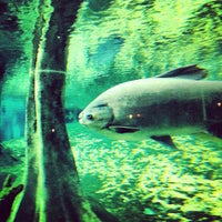 CosmoCaixa - Science Museum in Barcelona