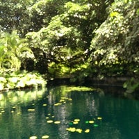 Museo de Arte Puerto Rico:- Gardens - Garden in San Juan