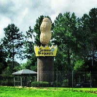 World's Largest Peanut - Ashburn, GA