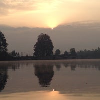 Nigeen Lake - Nigeen