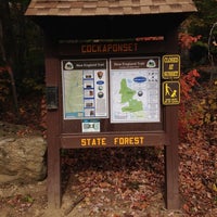 Cockaponset State Forest - Rt 145