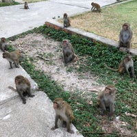 Hon Lao Monkey Island - 20 tips