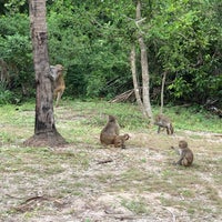 Hon Lao Monkey Island - 20 tips