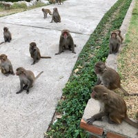 Hon Lao Monkey Island - 20 tips