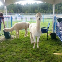 Saanich Fairgrounds - 3 tips