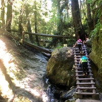 Steep Ravine Trail - 1 tip from 263 visitors
