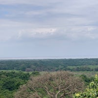 Lake Manyara National Park