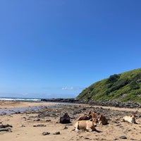 Coffee Shack Backpackers Lodge - Hostel in Coffee Bay