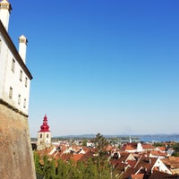 Ptujski Grad - Mestna občina Ptuj, Ptuj