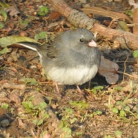 Peterkin Park - 2 tips