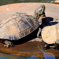 Peterkin Park - 2 tips