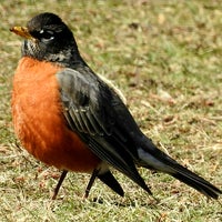 Peterkin Park - 2 tips