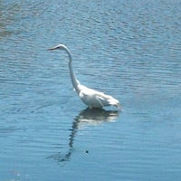 Peterkin Park - 2 tips