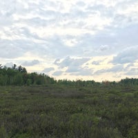 WM. Mitchell State Park - 10 tips from 379 visitors