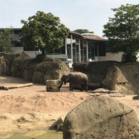 Elefantenpark - Riehl - 1 tip from 376 visitors