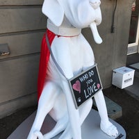 Downtown Dog Lounge (Now Closed) - Interbay - 5 tips from 226 visitors