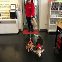 Downtown Dog Lounge (Now Closed) - Interbay - 5 tips from 226 visitors